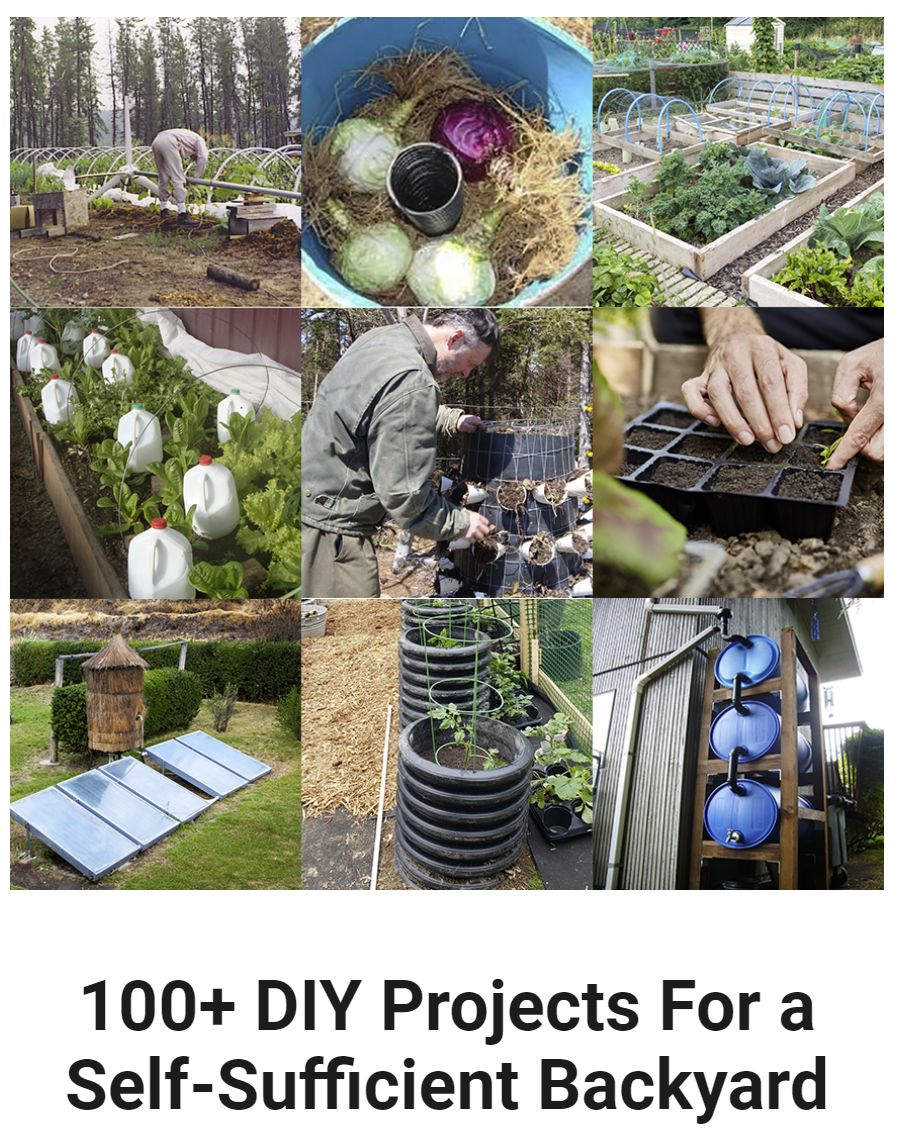 Grow Your Way to a Greener Life: Self-Sufficiency in Your Backyard - My ...