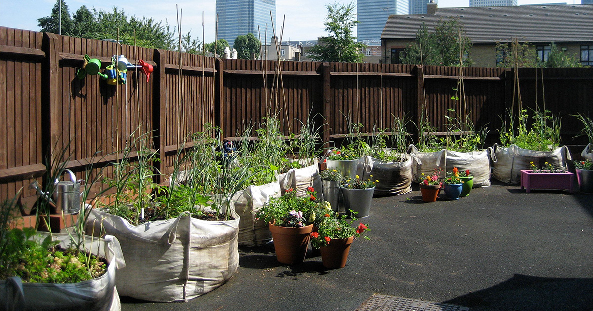 Fabric Garden Beds 101: A Beginner's Guide - My Urban Garden